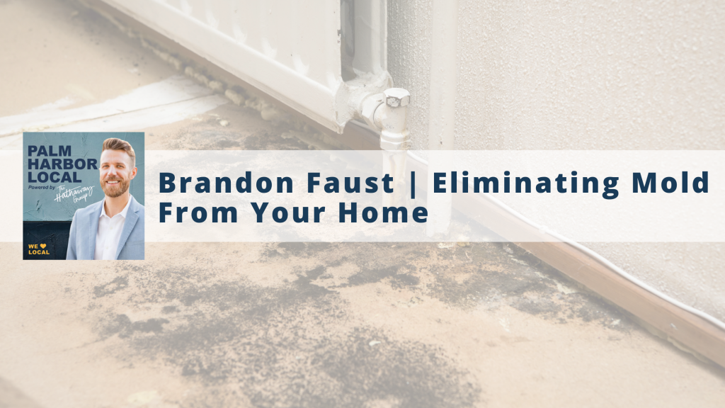 Brandon Faust | Eliminating Mold From Your Home
